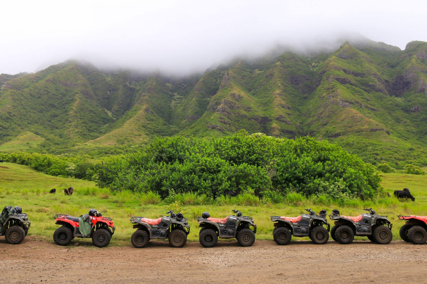 Epic Land Adventures & Activities - Oahu Kids Guide